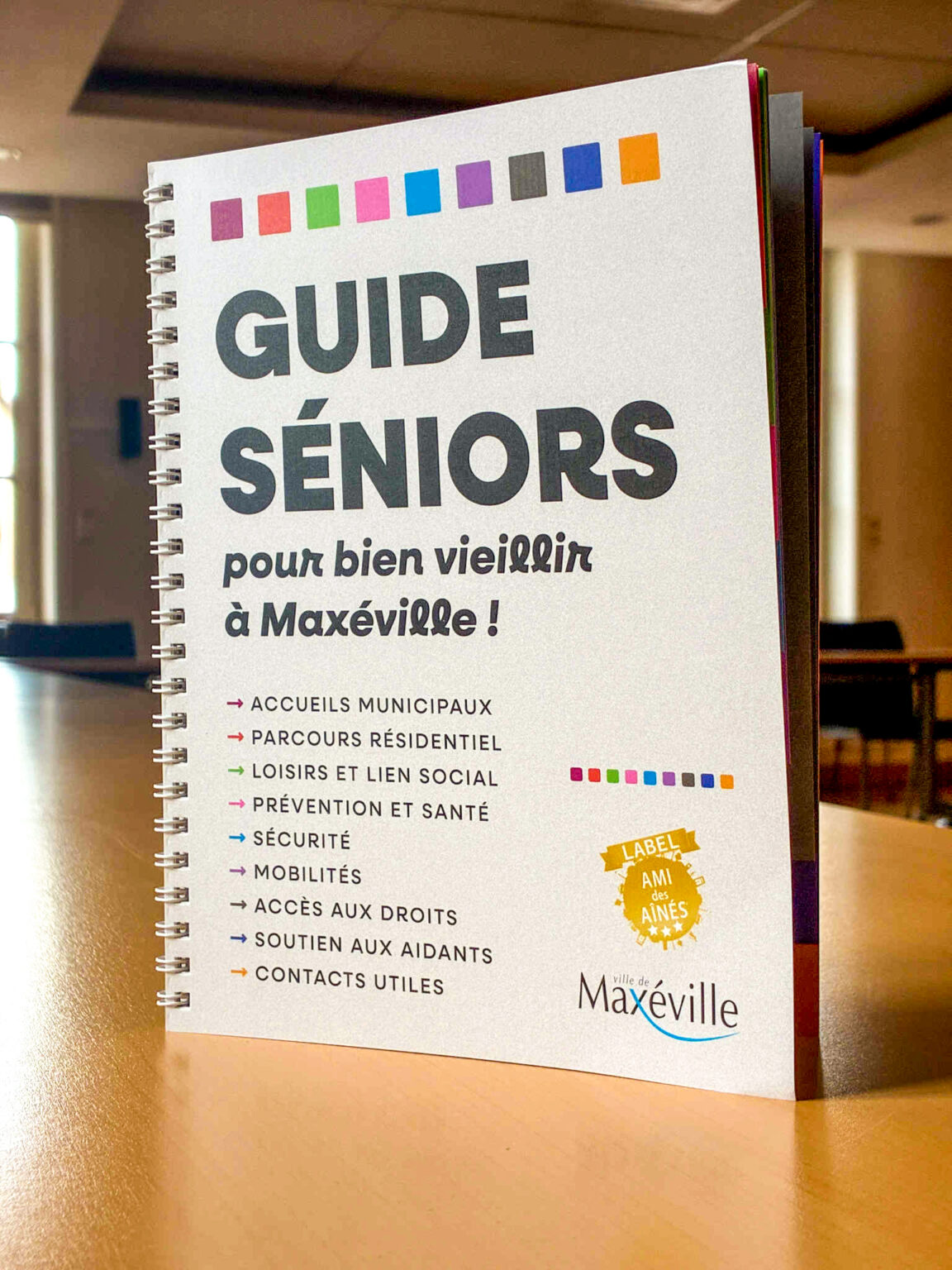 Instance séniors – découverte du nouveau guide – VILLE DE MAXÉVILLE